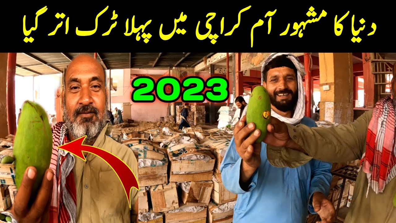 Mango Available in Karachi Fruit Mandi | World famous Pakistani Mango's ...