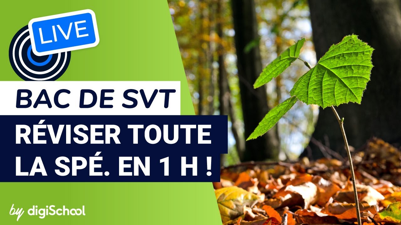 Bac de SVT : tout ce qu'il faut savoir sur l'épreuve ! @digischool-lycee