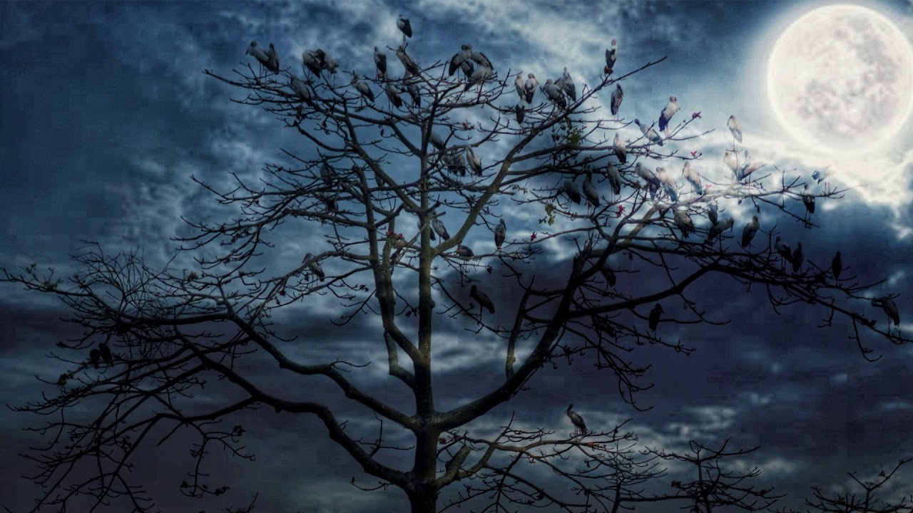 Fill it to the rim with music relaxation - YouTube