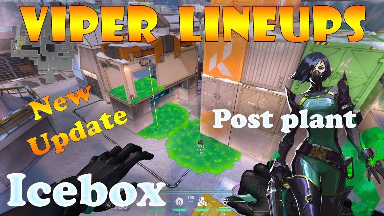 Top 10 New Icebox Viper Post Plant Lineups | Viper Lineups Icebox ...