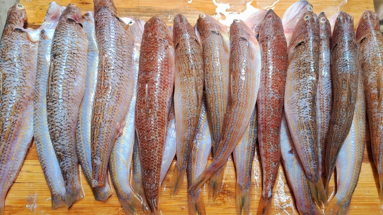🐬Easy தும்பிலி மீன் சுத்தம் செய்வது எப்படி?Thumbli Fish Cleaning #fish ...