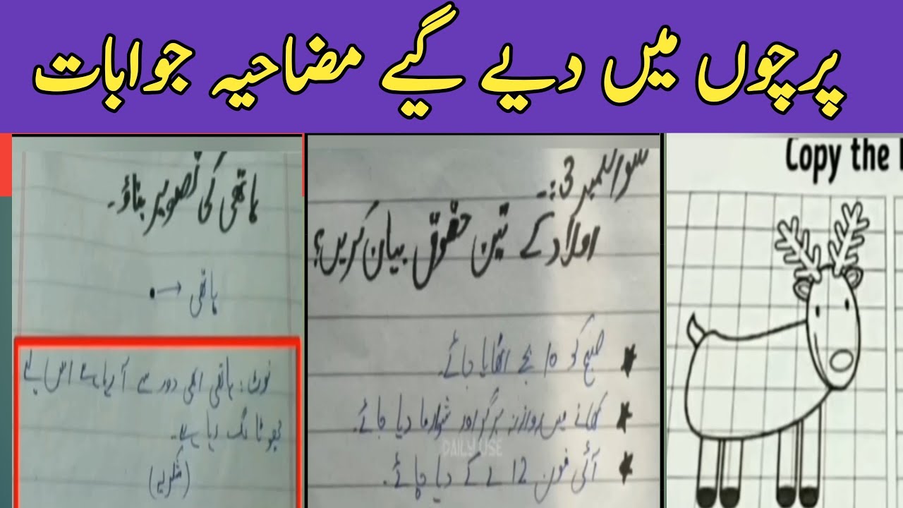 Most Funny Answer Sheets Of Exams 2024 || Fuuny Answers Questions Of ...