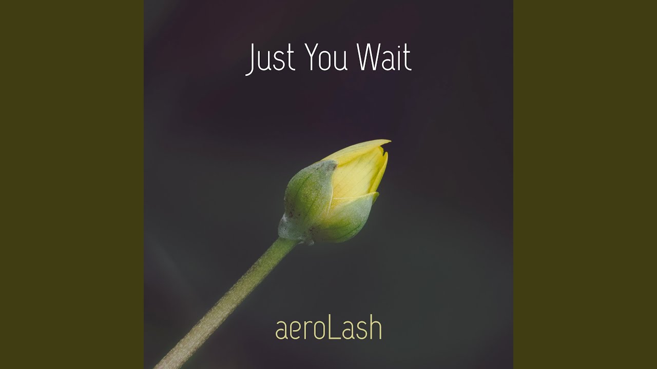 Just You Wait - YouTube