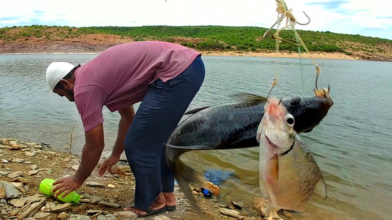 Awesome Fishing||Rohu FISHING||Black Rohu FISHING 🎣||Village Fishing ...