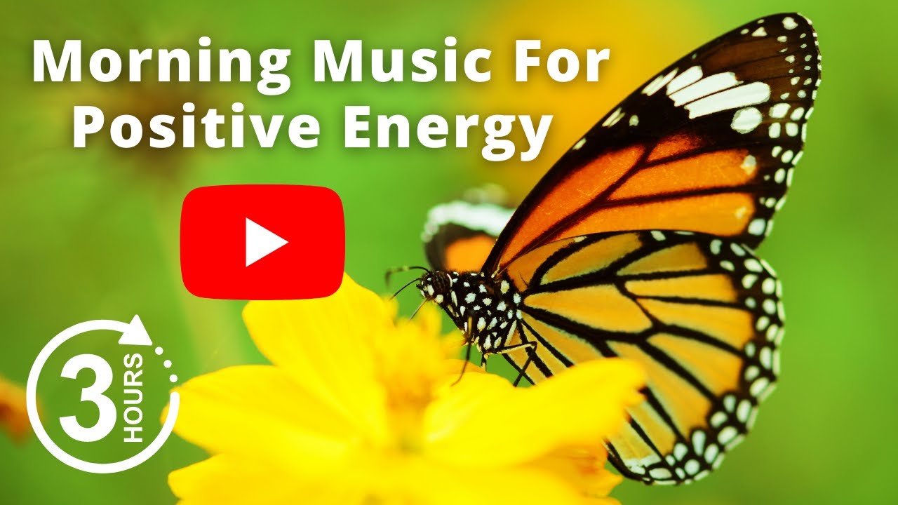 Morning Music For Positive Energy ♬♫🎸 - YouTube