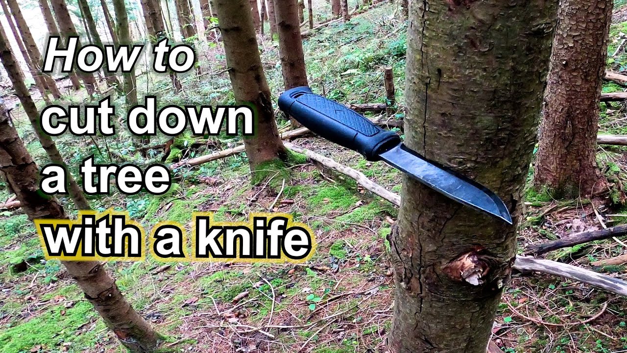 Knife Mastery: Cutting Down a Tree with Just a Knife - YouTube