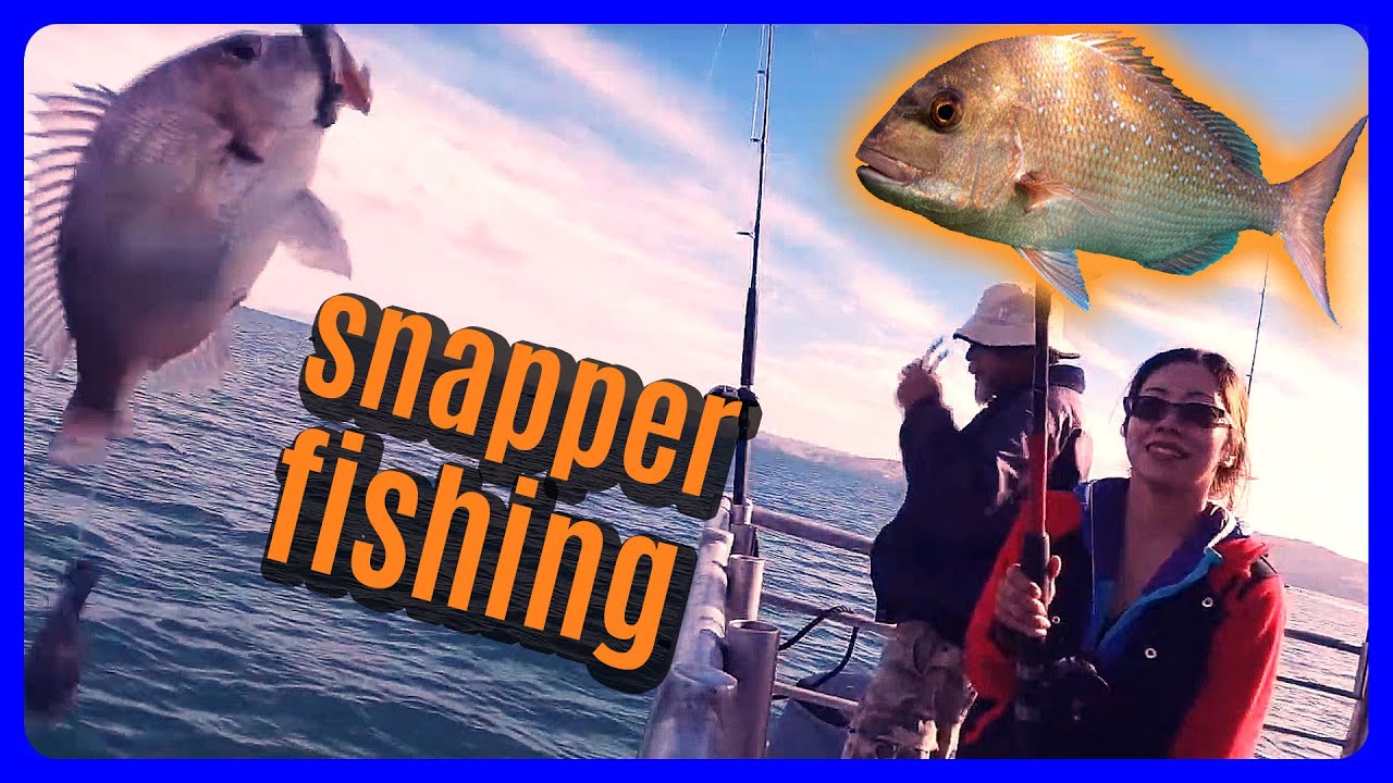 Catching my first snapper 🐟 Coromandel mussel farm snapper fishing ...