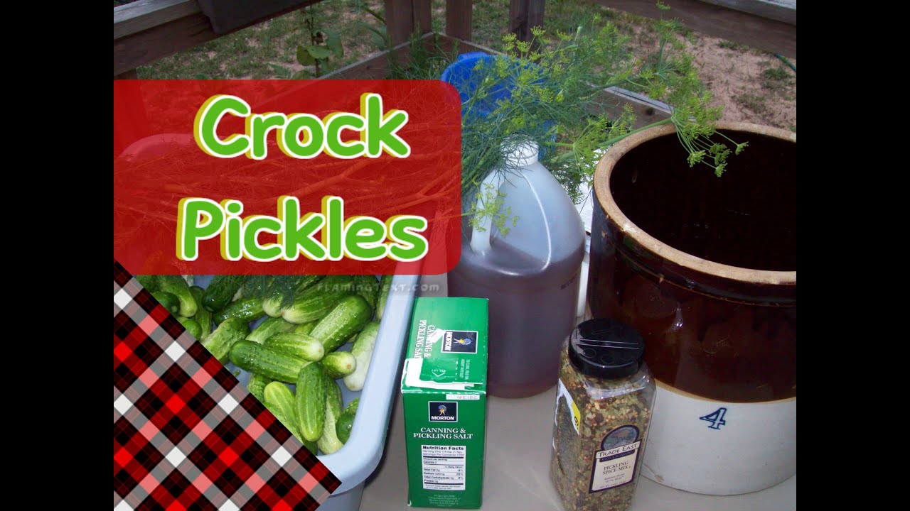 Fermented Crock Pickles - YouTube