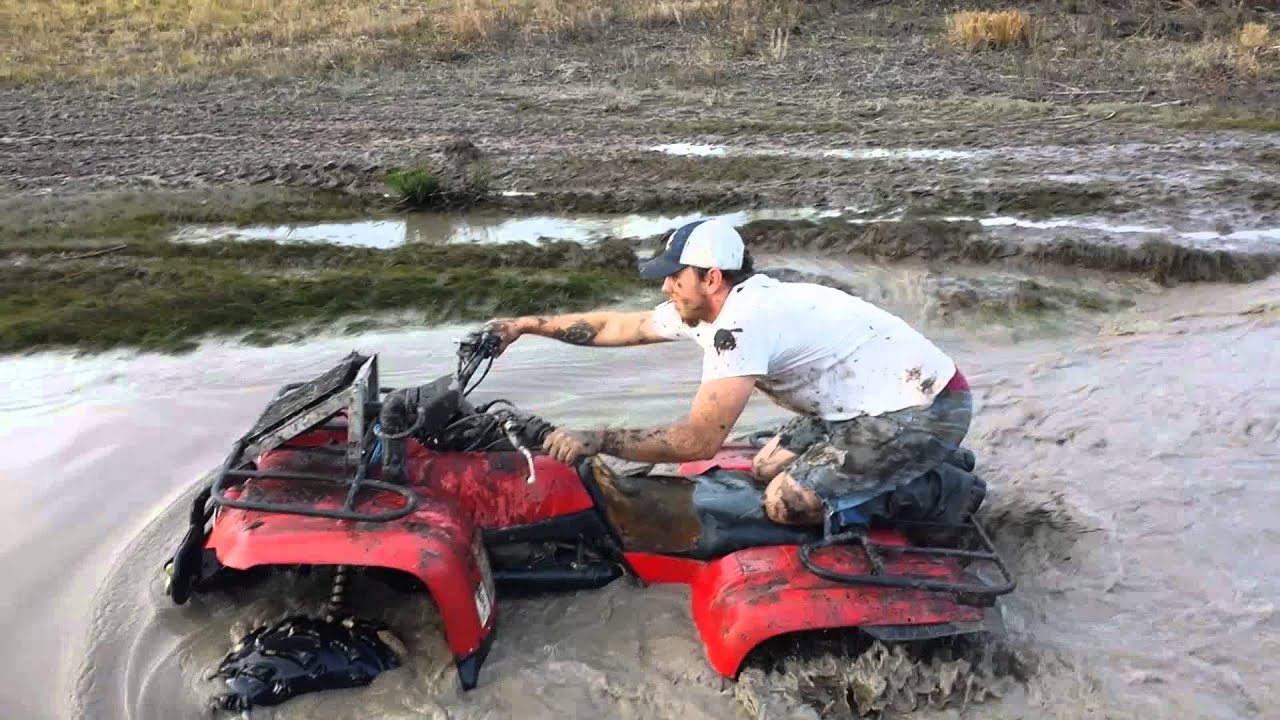 Little bear puddle jumpin - YouTube