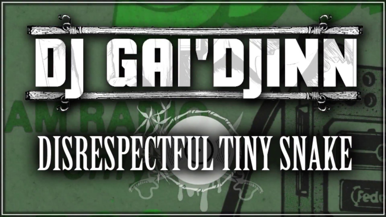 DJ GAI'DJINN - DISRESPECTFUL TINY SNAKE - YouTube