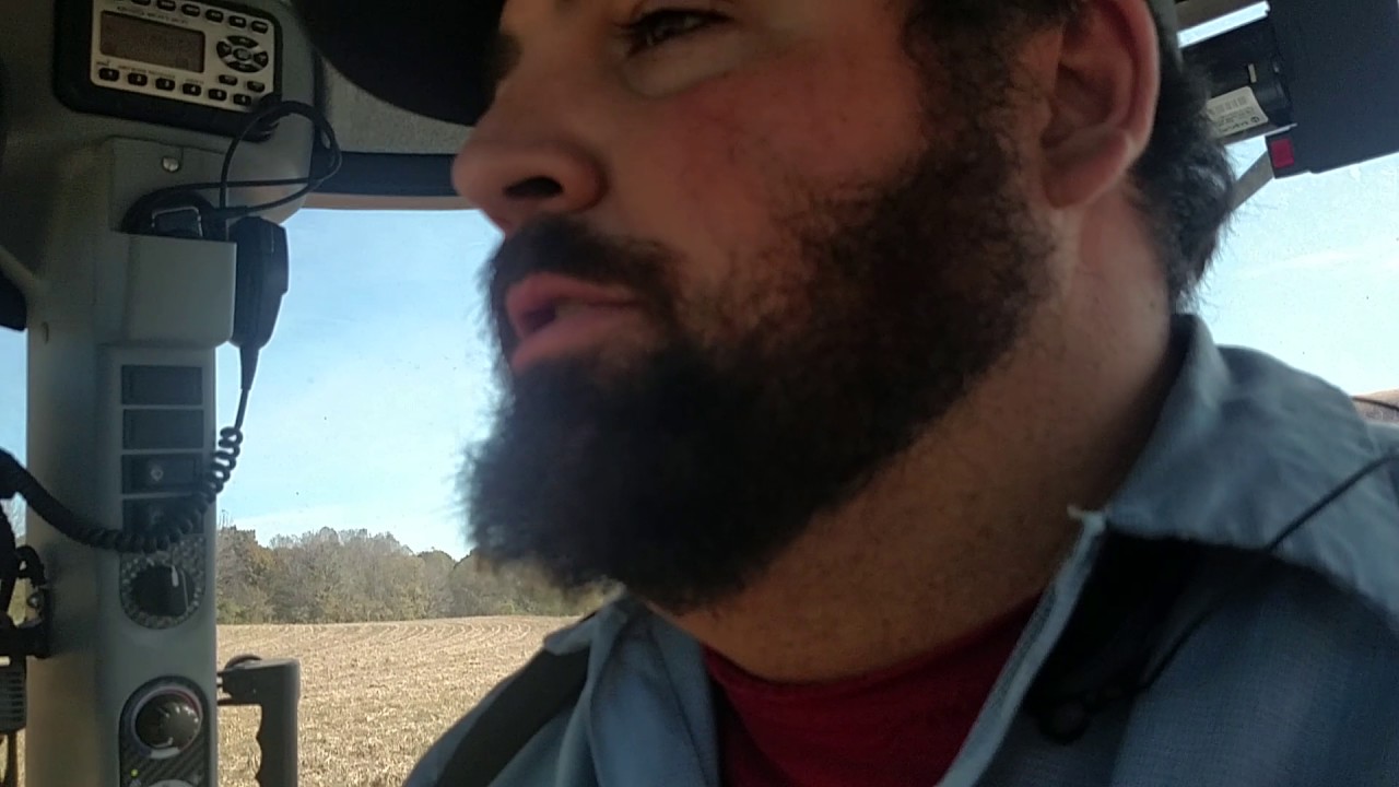 Baleing soybean fodder with the T4.115. - YouTube