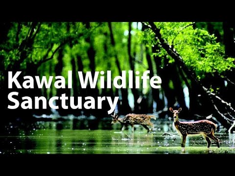 Kawal Wildlife Sanctuary | Kawal Forest History | Jannaram To Utnoor ...