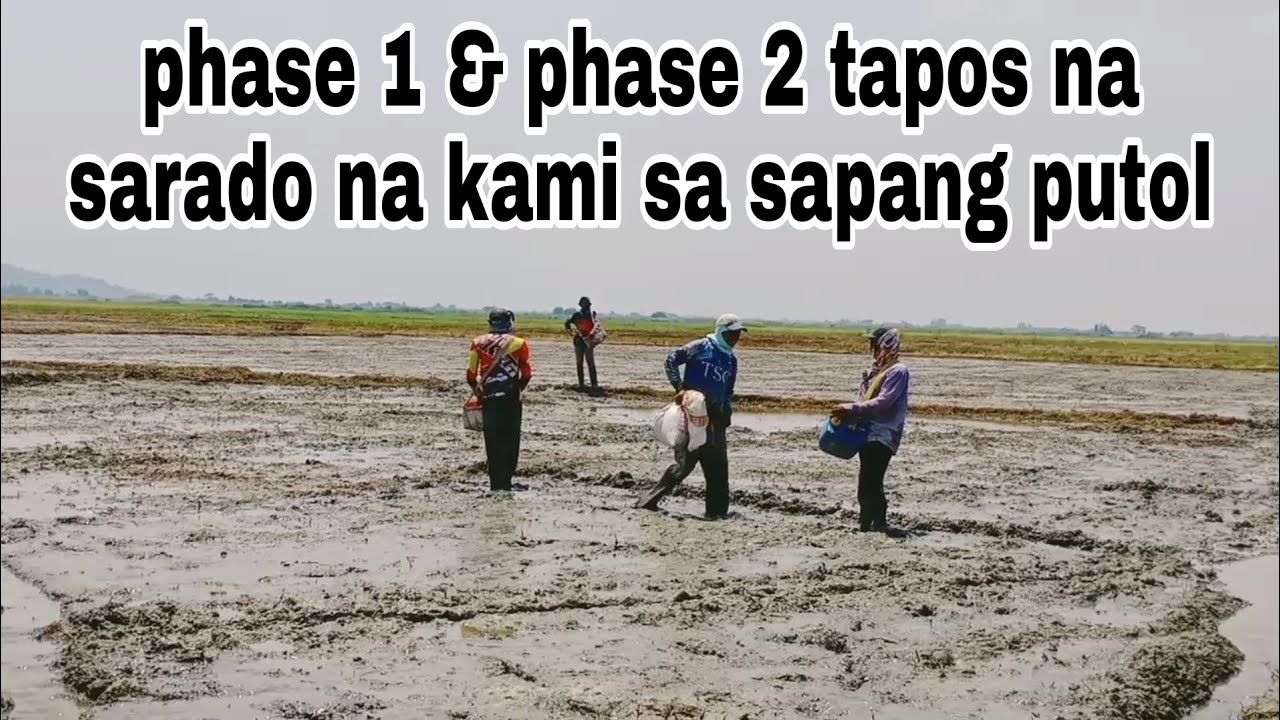 SARADO NA KAMI SA (PHASE 1) AT (PHASE 2) #secondcropping - YouTube