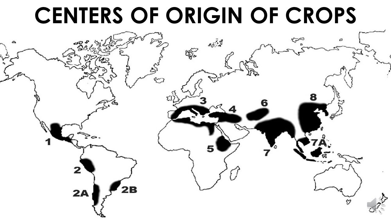 CENTERS OF ORIGIN OF CROPS - YouTube