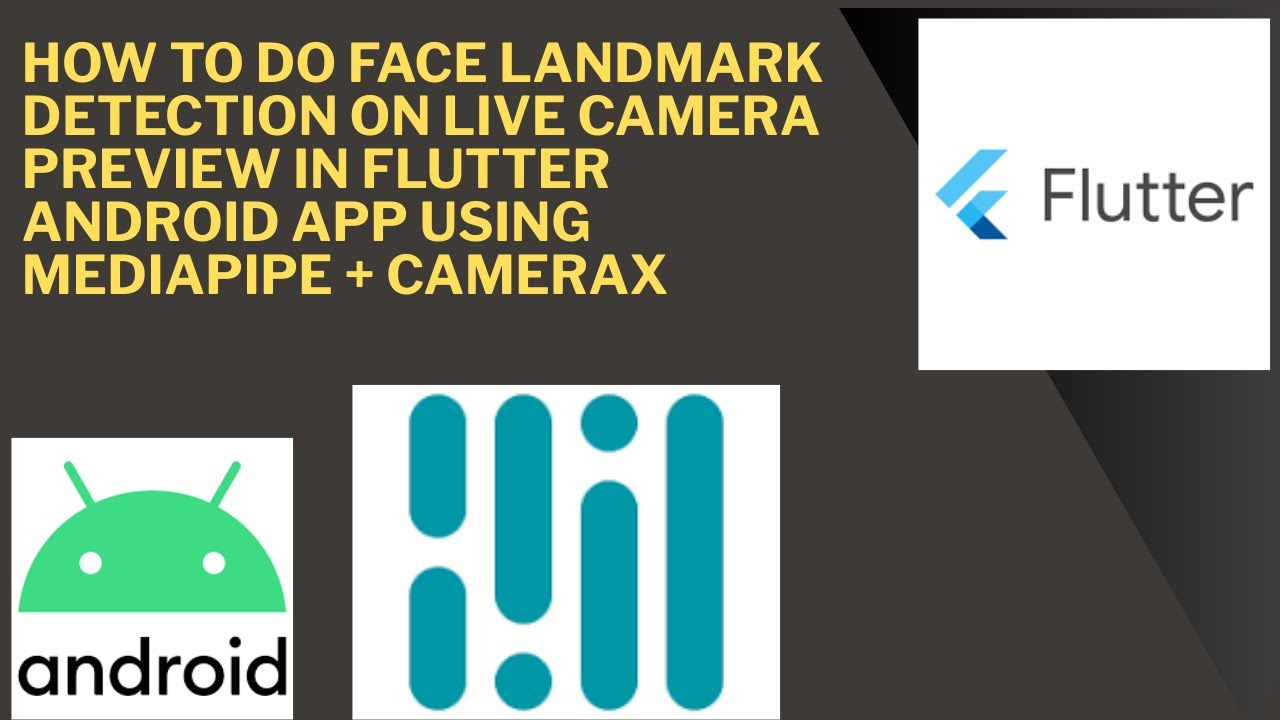 How to do Face LANDMARK DETECTION on Live Camera Preview in Flutter ...