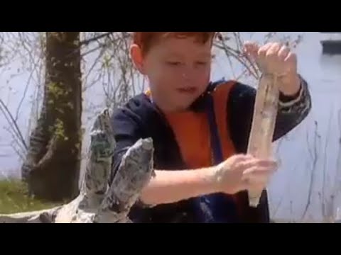 This is Daniel Cook - Season 2 - This is Daniel Cook creating a paper ...