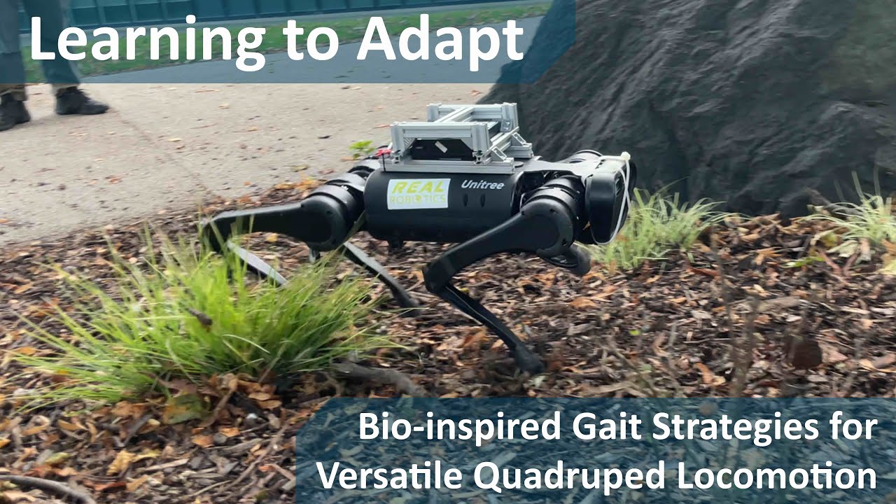 Learning to Adapt through Bio-Inspired Gait Strategies for Versatile ...