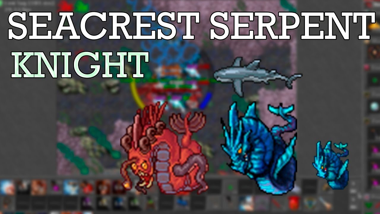 Knight | Seacrest Serpents | Tibia - YouTube