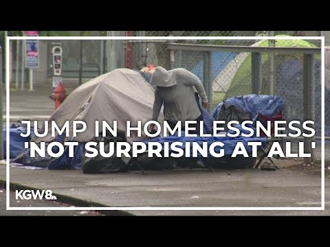 Jump in homelessness plagued by 'endless cycle' of mental health issues ...