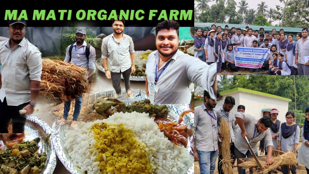 ENJOYING ORGANIC FOOD IN ORGANIC FARM|MA MATI VISIT|PART1 - YouTube