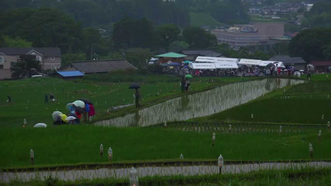 秩父・横瀬町 寺坂棚田 ホタルかがり火まつり Terasaka Rice Terraces - 4K Ultra HD - YouTube