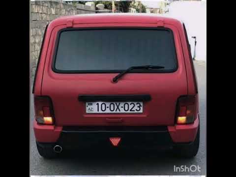 Elvin Najaf  azeri bass niva üçün