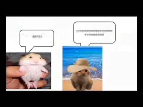 story of 2 spoingus - YouTube