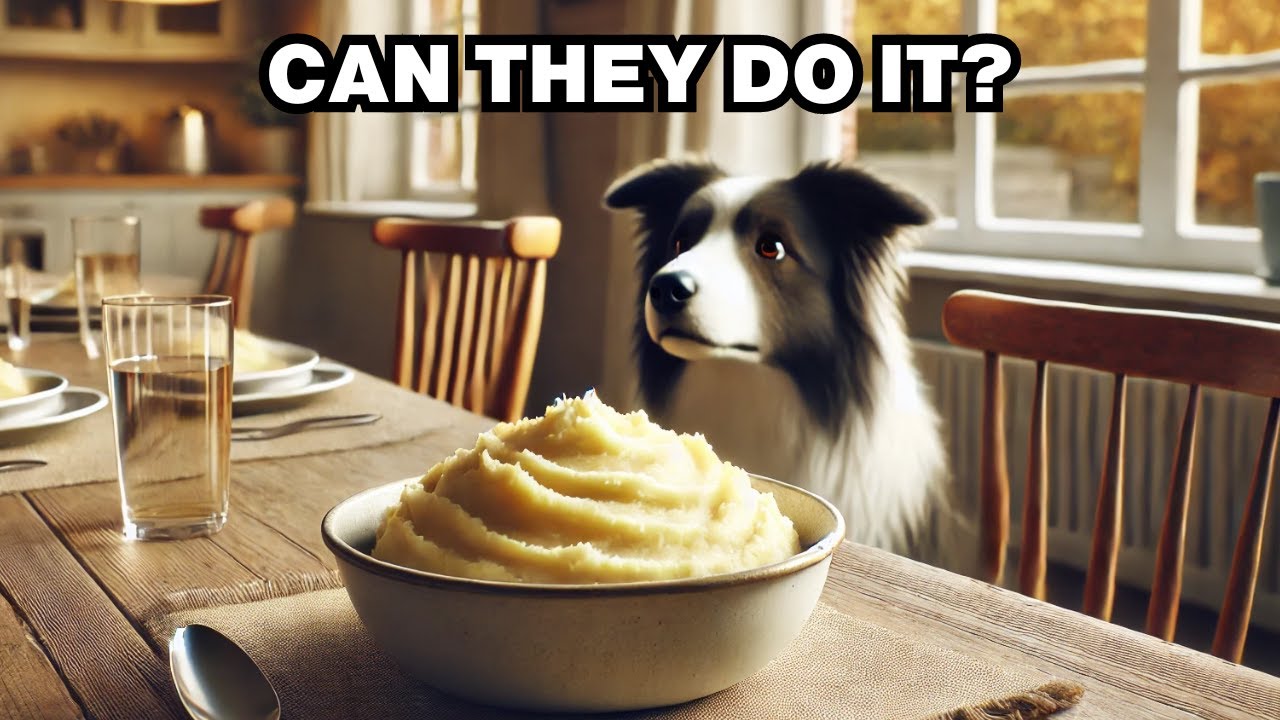 Can Dogs Eat Mashed Potatoes? Explained - YouTube