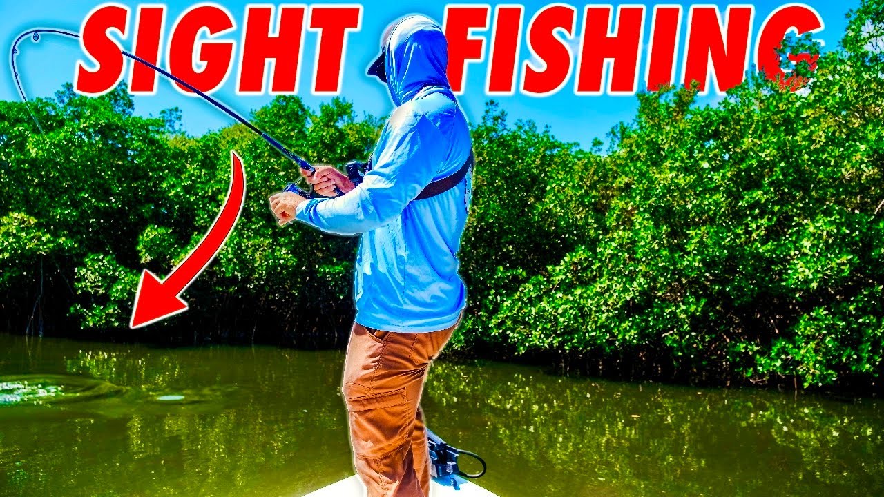 Sight Casting Fish Hidden Deep in the Florida Mangroves - YouTube