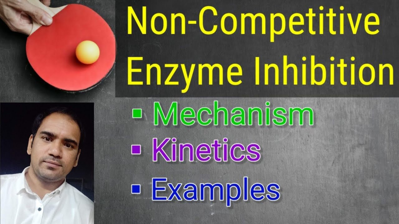 Non-competitive Enzyme Inhibition : Mechanism, Kinetics (Km&Vmax ...