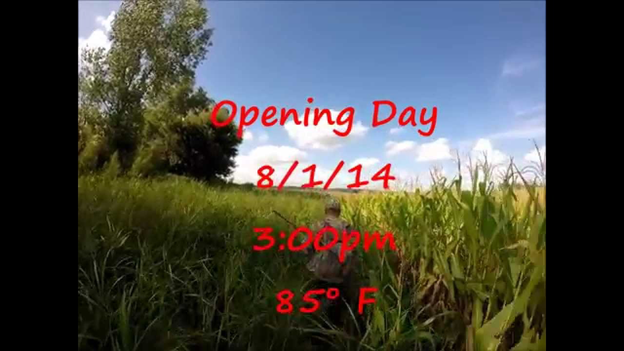 2014 Wisconsin Early Teal Hunt - YouTube