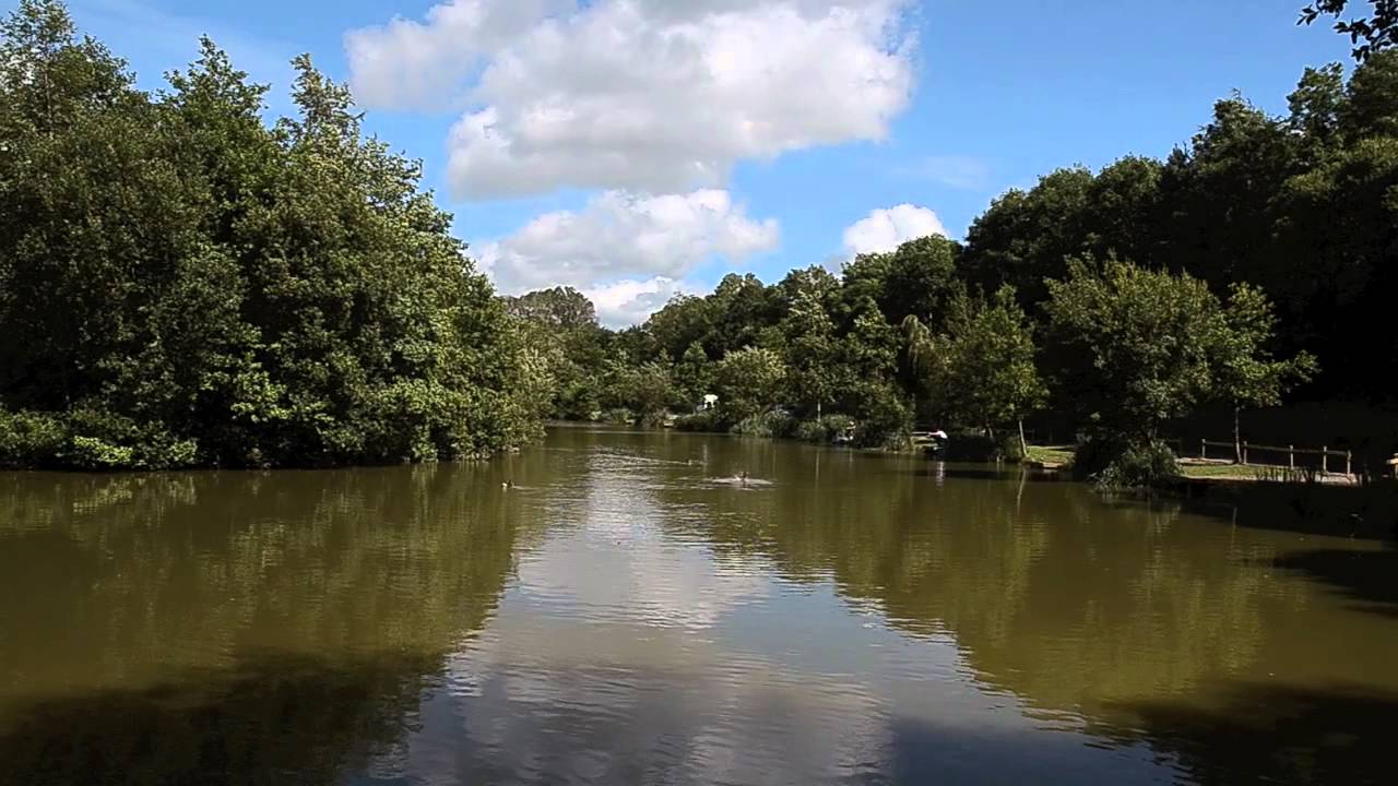 RIVERTON FISHERY SWIMBRIDGE, BARNSTAPLE, DEVON - YouTube