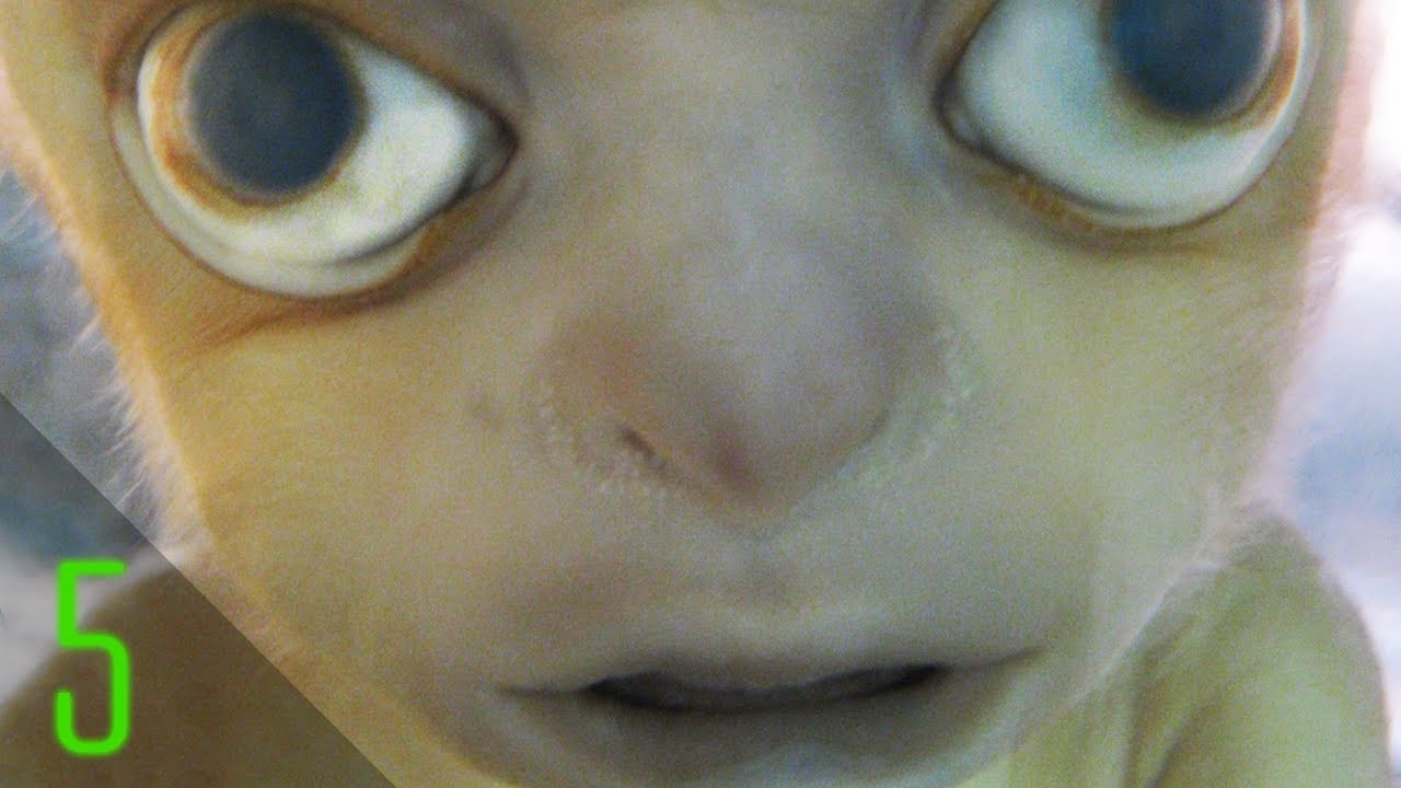 5 Most Bizarre Circus Attractions - YouTube