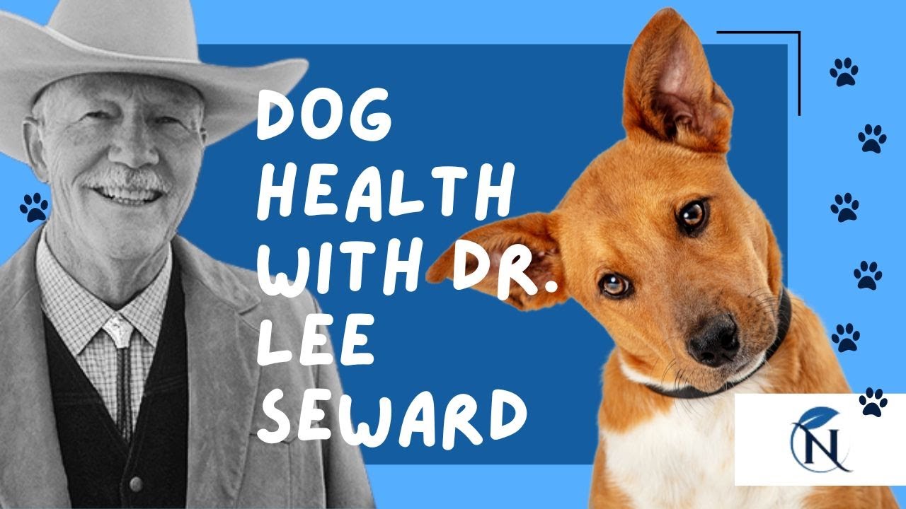 Supporting Dog Health with Nutrigenomics and Petandim: Insights from Dr ...