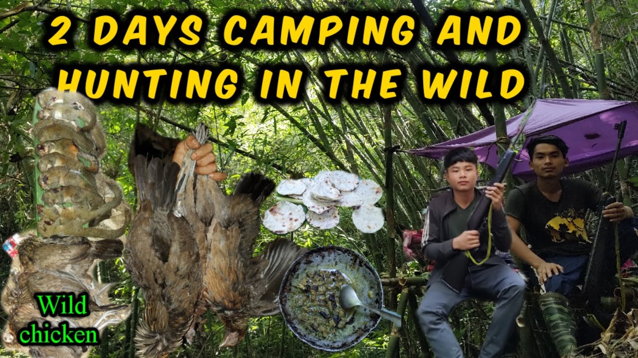 Hunting camping cooking & eating in jungle|| Wild chicken hunting ...