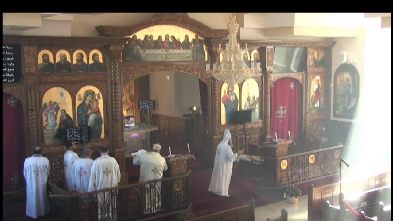 Coptic Myrtle Live Stream - YouTube