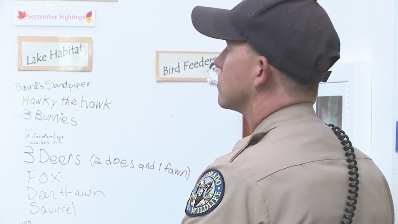Colorado Parks and Wildlife hiring 40 rangers - YouTube