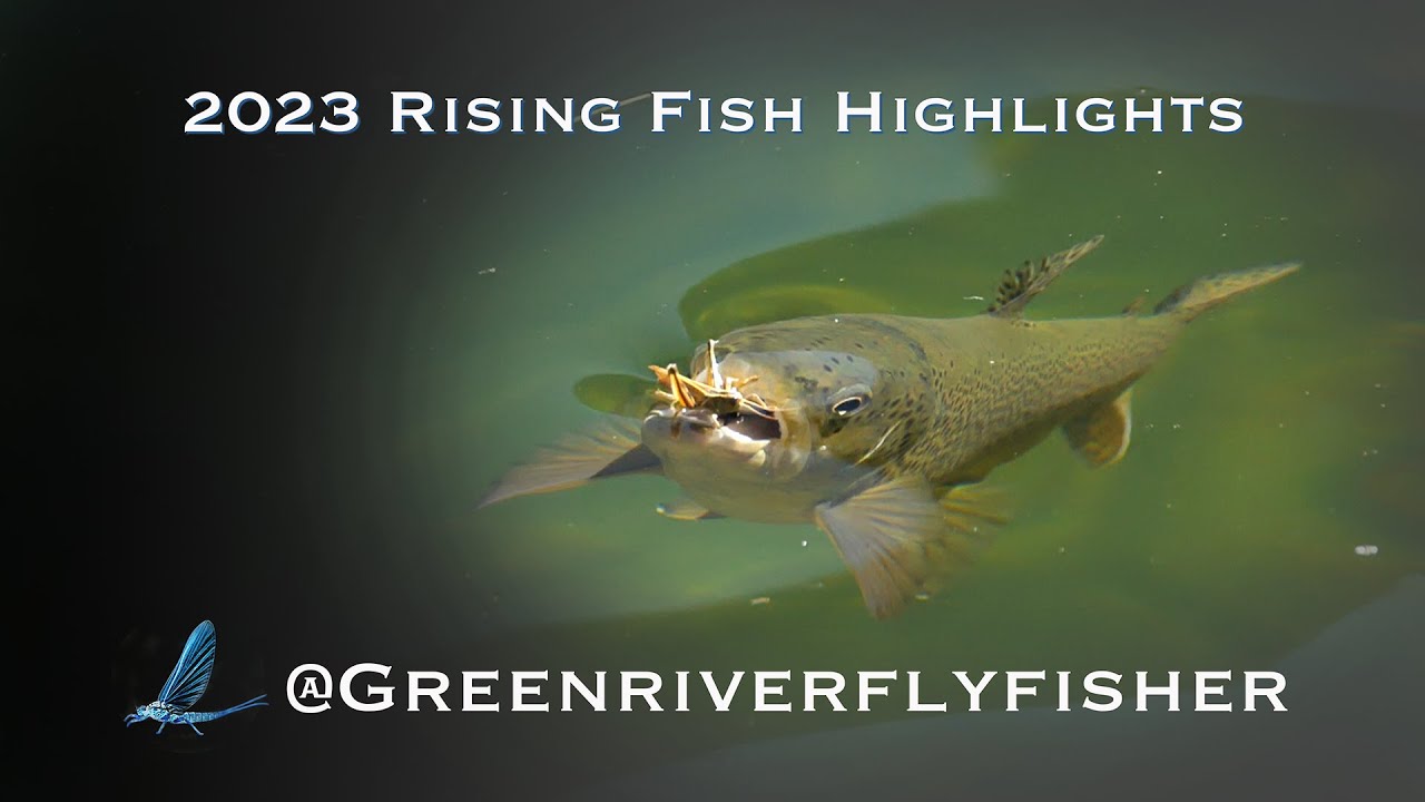 Best Rising Trout Shots Ever? - Highlights from 2023 - YouTube