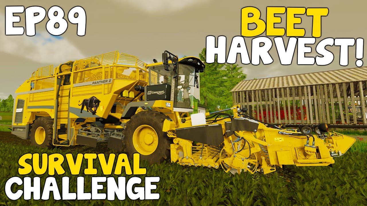 BEET HARVESTER IN ACTION! - FS22 Survival Challenge! - Episode 89 - YouTube