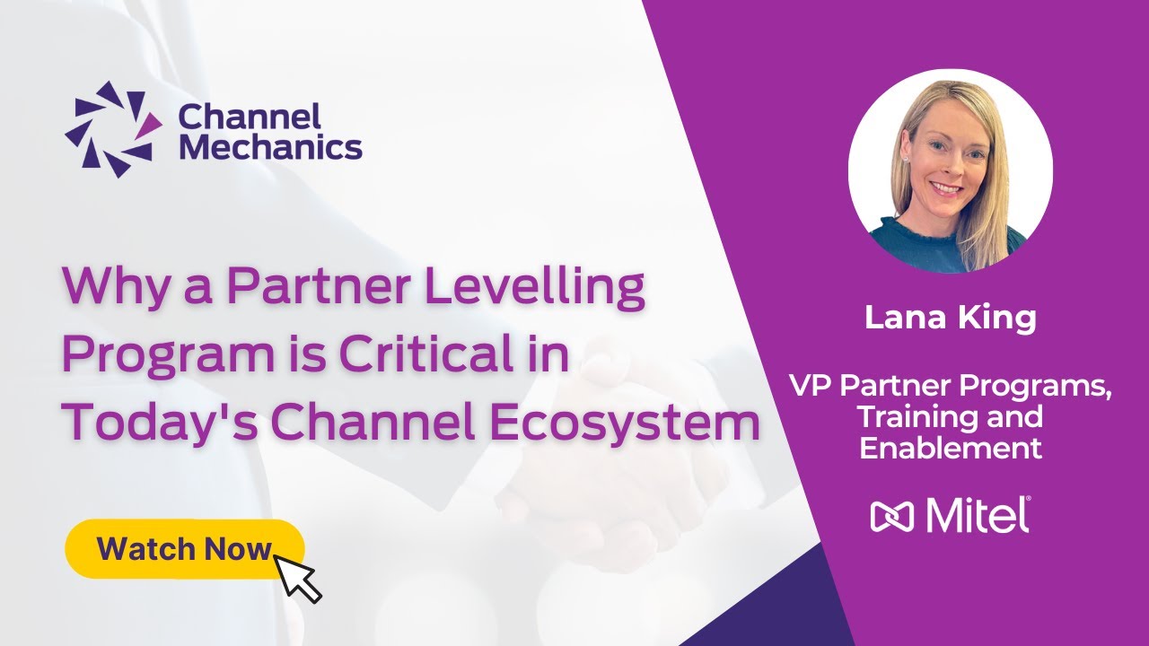 Channel Mechanics - Why a Partner Levelling Program is Critical in ...