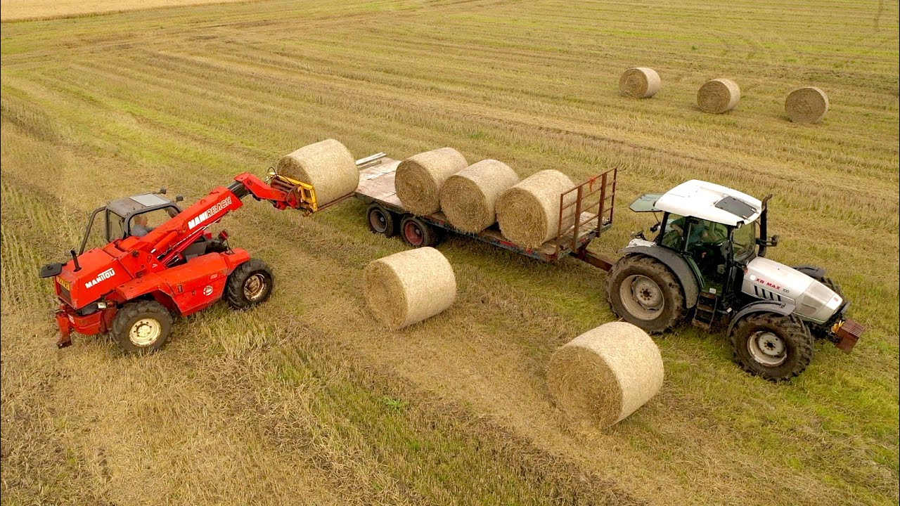 LOAD THEM UP HIGH ! COWS MIGHT BE SHORT BY THE END! - YouTube