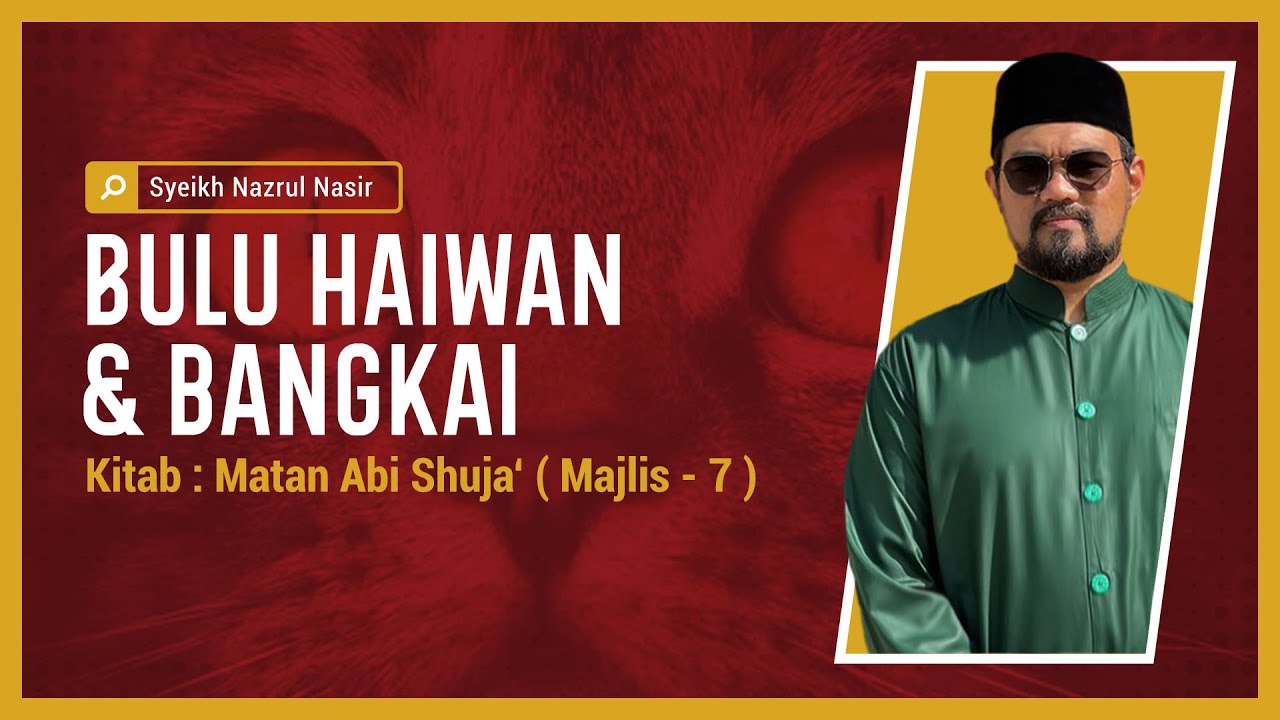 Bulu & Bangkai Haiwan - Syeikh Nazrul Nasir. - YouTube