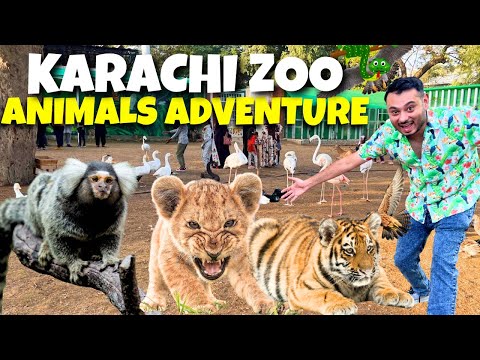 ANIMALS ADVENTURE KARACHI ZOO TOUR 