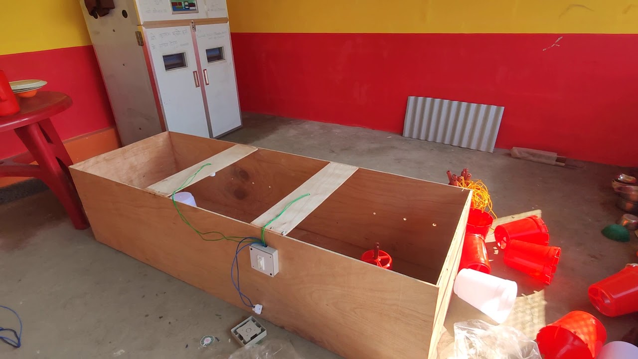 Local chicken chikes brooding box - YouTube