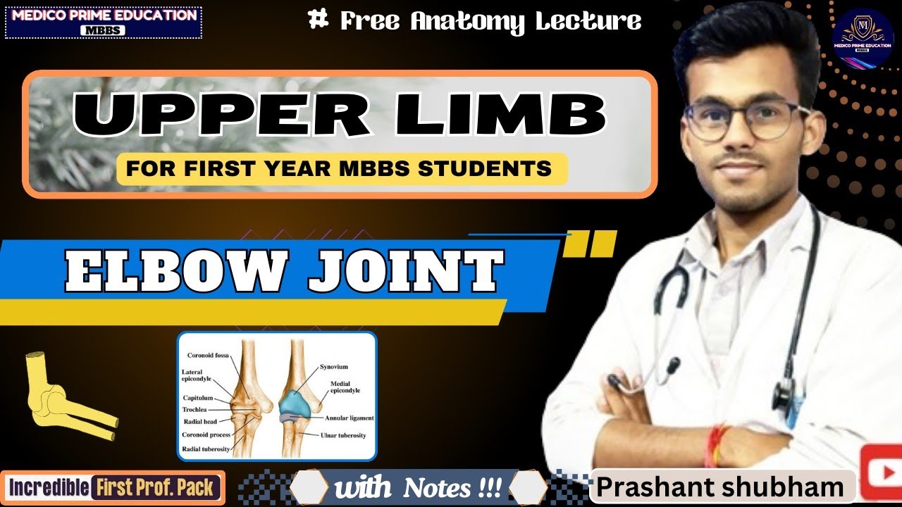 Elbow Joint | Anatomy of Elbow Joint | Ligaments | Relations | Clinical ...