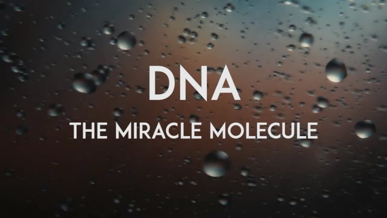 DNA - the Miracle Molecule : DNA Day Special by GEB, DU - YouTube