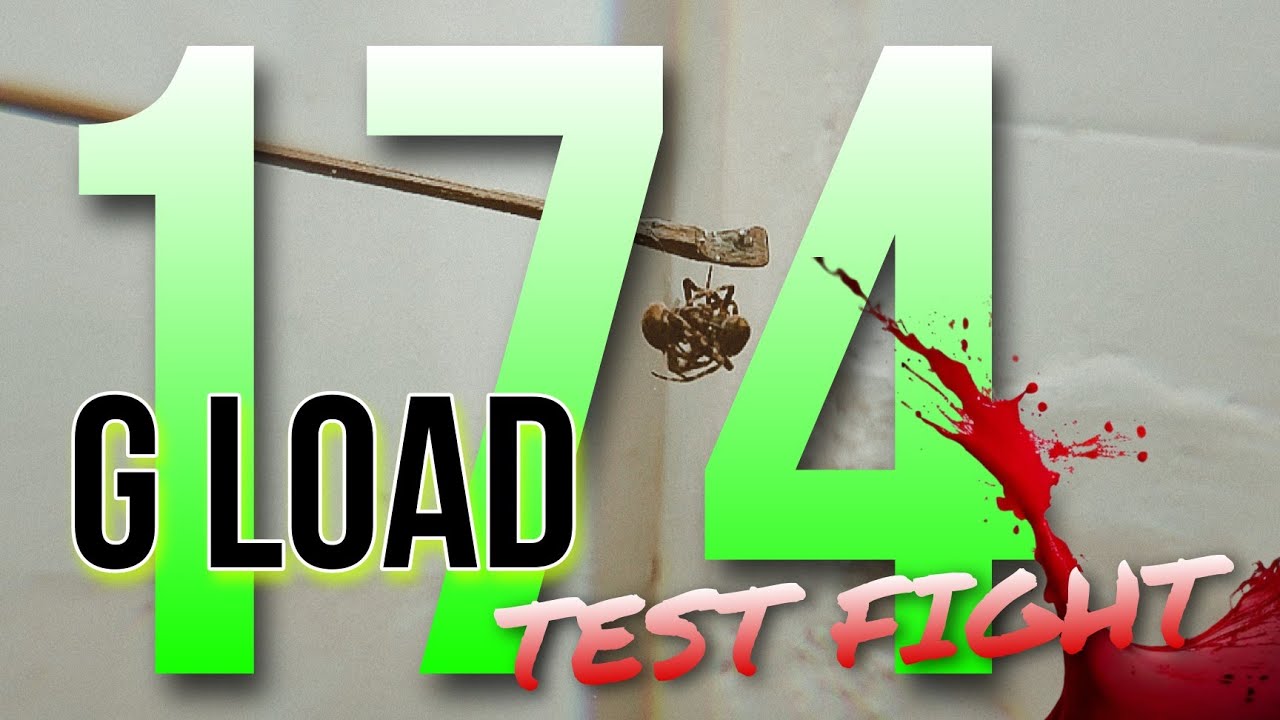 174 G LOAD TEST FIGHT - YouTube