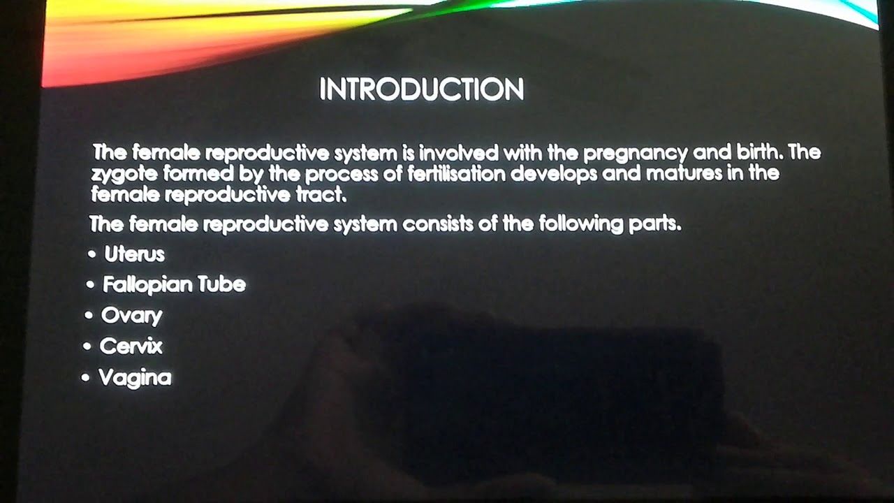 Female Reproductive System Part I - YouTube