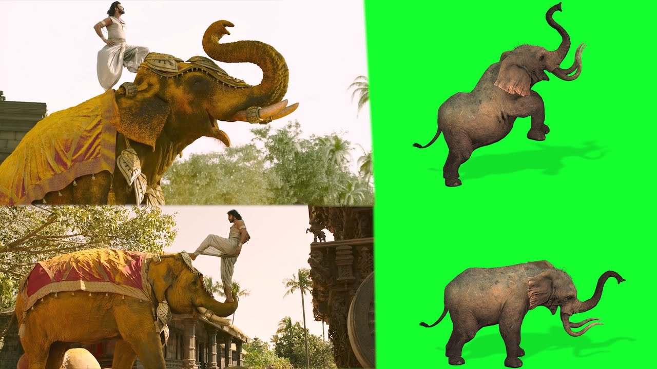 Bahubali Elephant scene in green sreen - YouTube