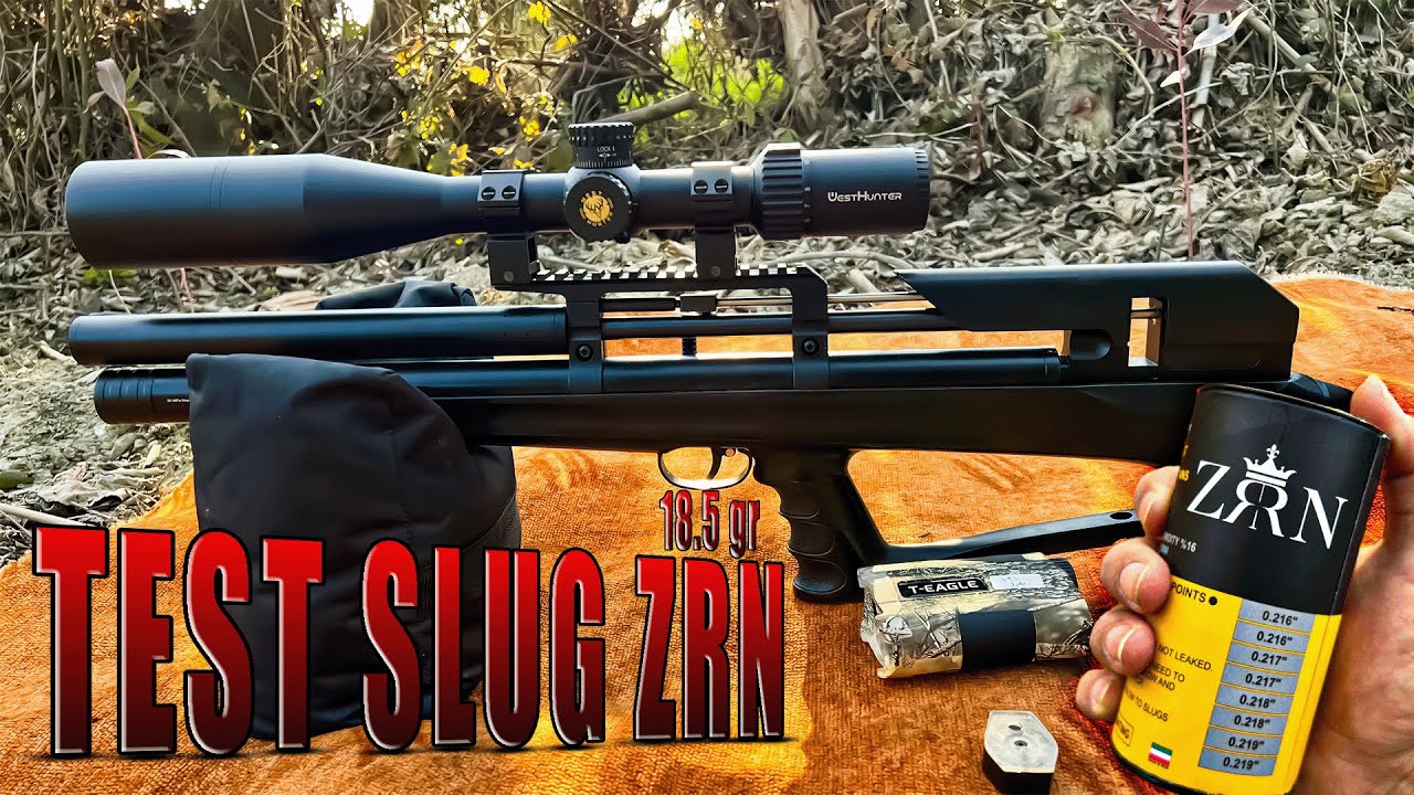 ZRN Slug Accuracy Test in Different diameter | تست اسلاگ در دیامتر های ...
